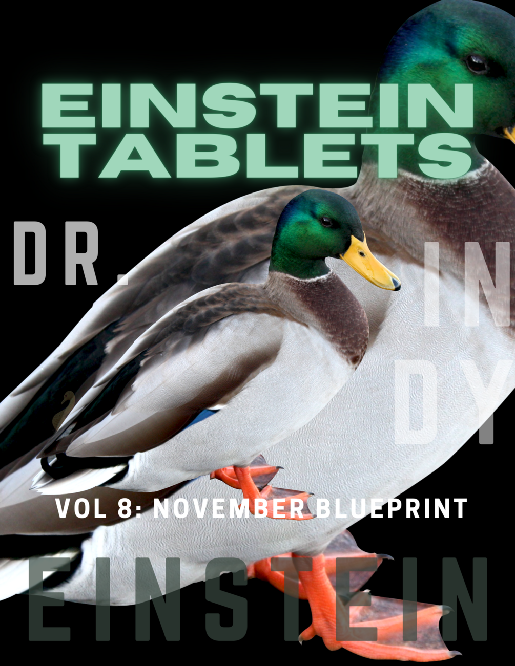 Einstein Tablets (Mini): November Blueprint