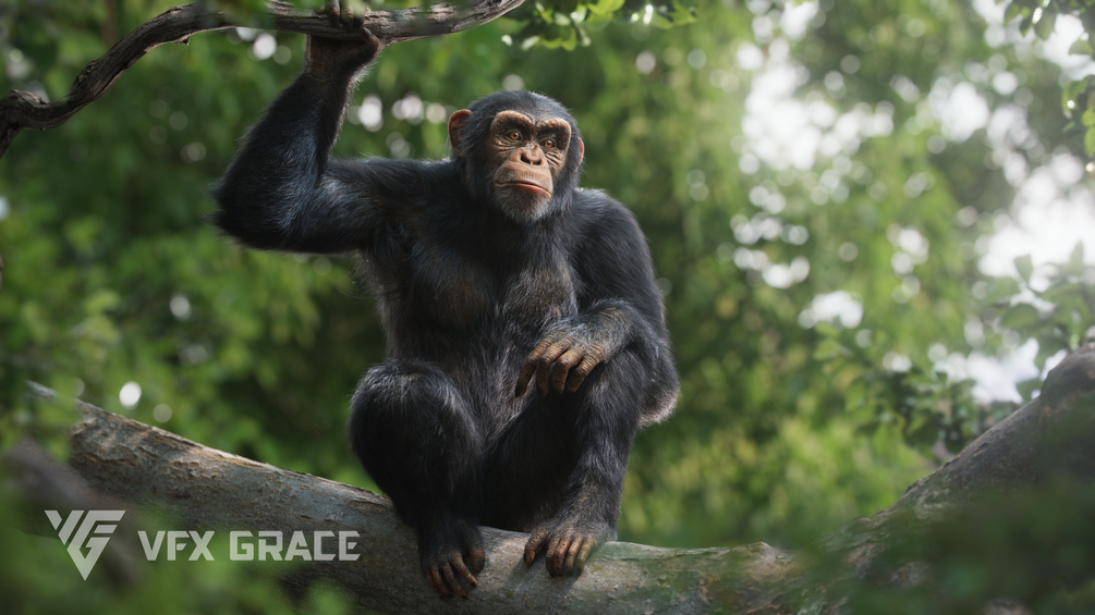 Chimpanzee Animated | 3D Blender Models
