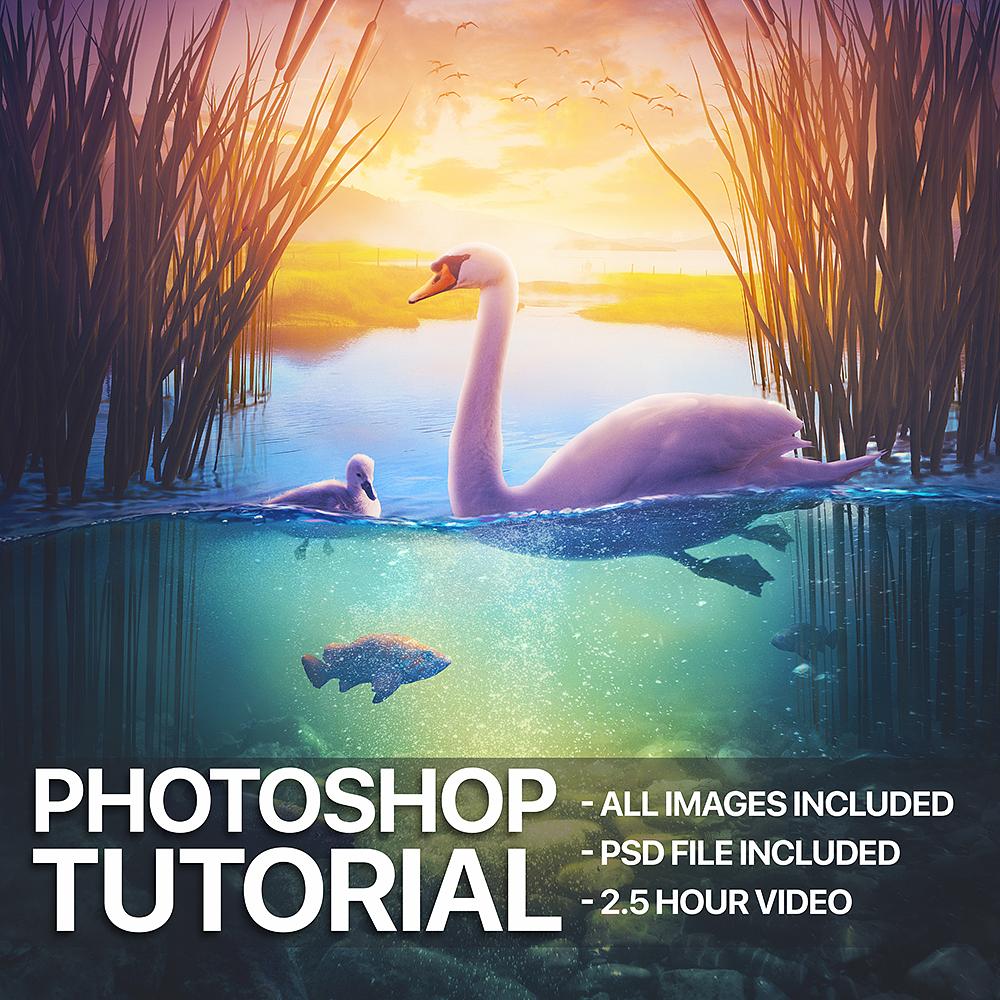 Photoshop Tutorial - Morning at the pond