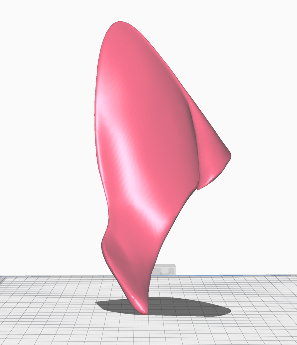 Fox ears - STL file for 3D printing