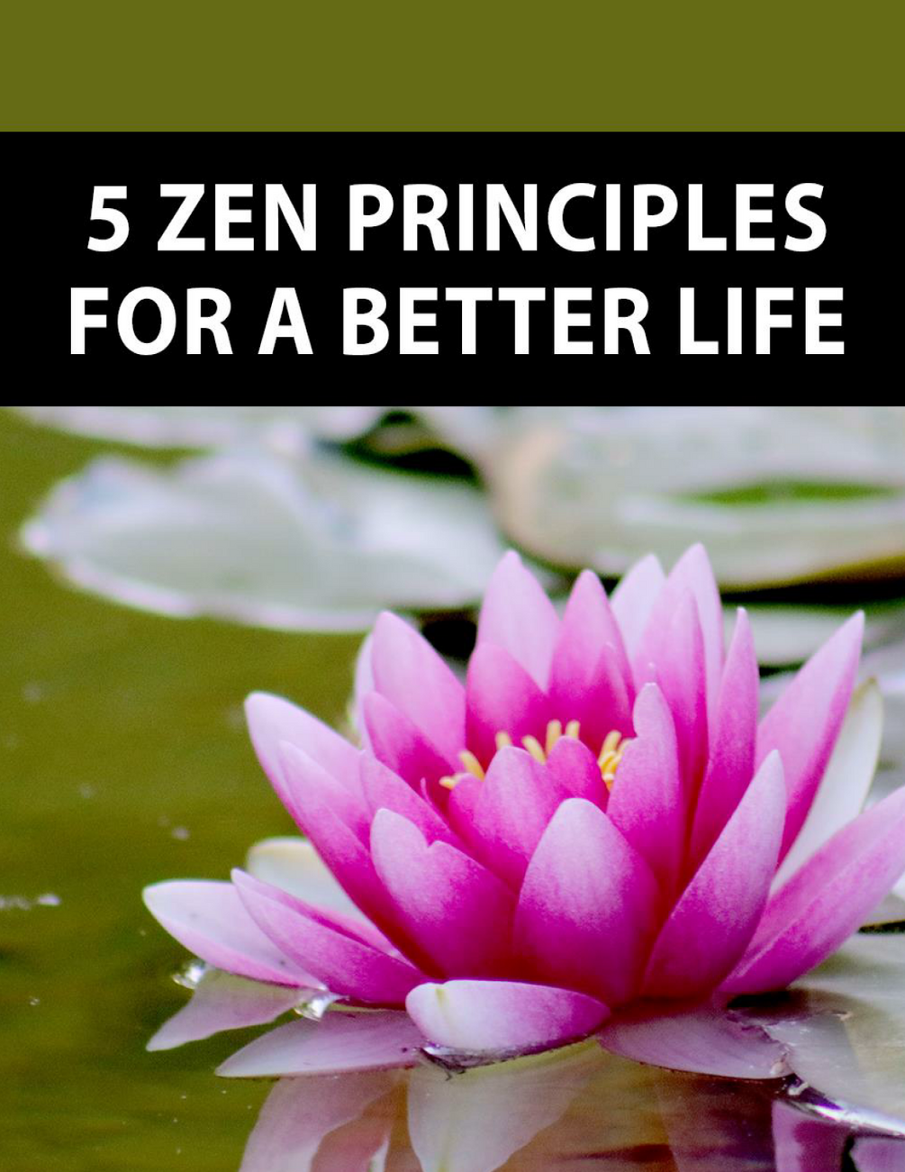 5 Zen Principles