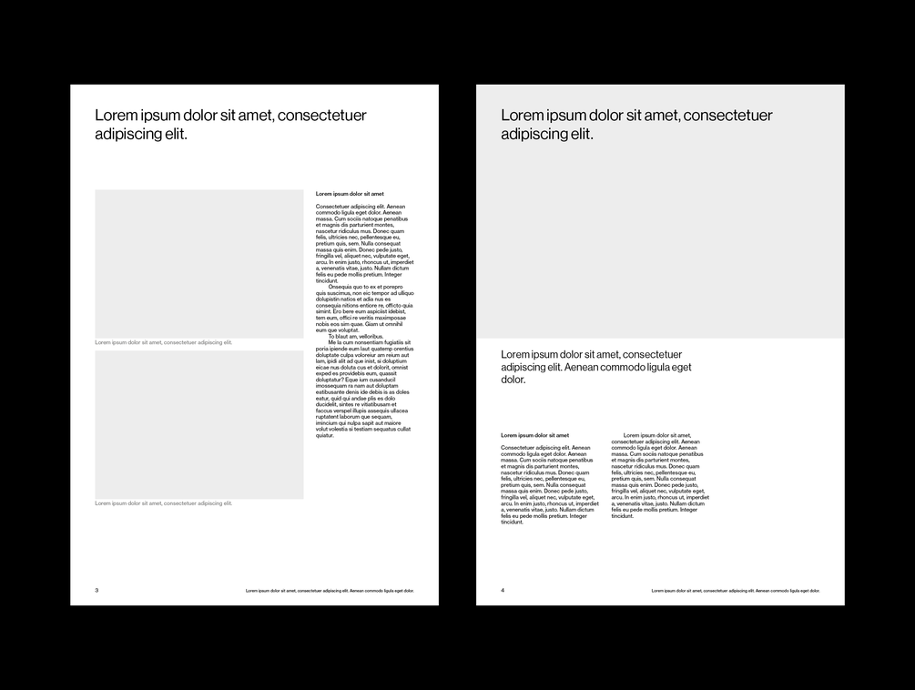 A4 White Paper / Case Study / Sales Sheet Grid System for Adobe InDesign