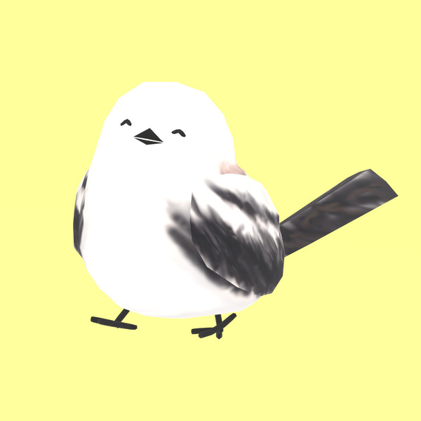Stayss Birb