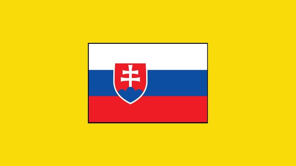 Learn Slovak - Quick / Easy / Efficient: 2000 Key Vocabularies (EPUB + PDF)