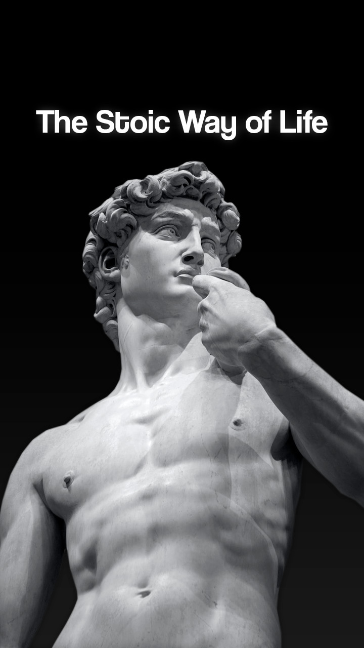 The Stoic Way of Life: An Introduction to the Philosophy of Resilience ...