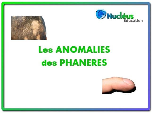 19- Les anomalies des phanères