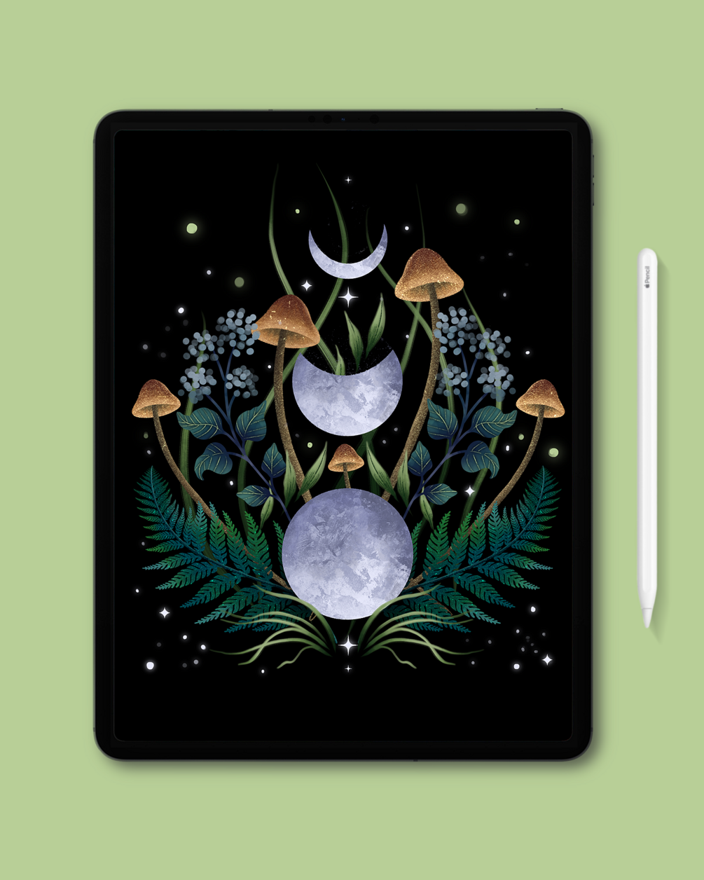 Moon Phases Art Poster Tutorial Bundle