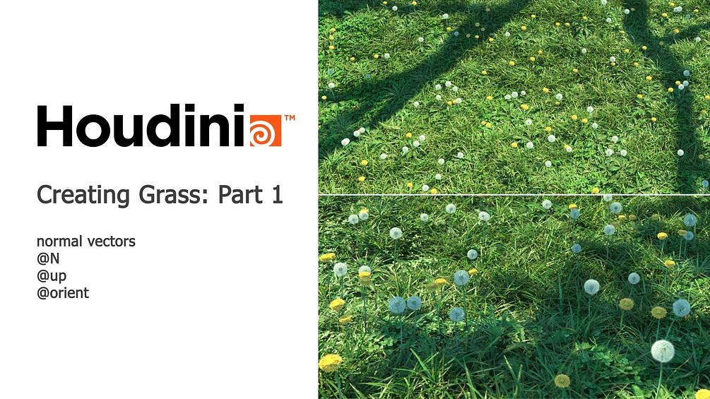 Creating Grass In Houdini : Part 1