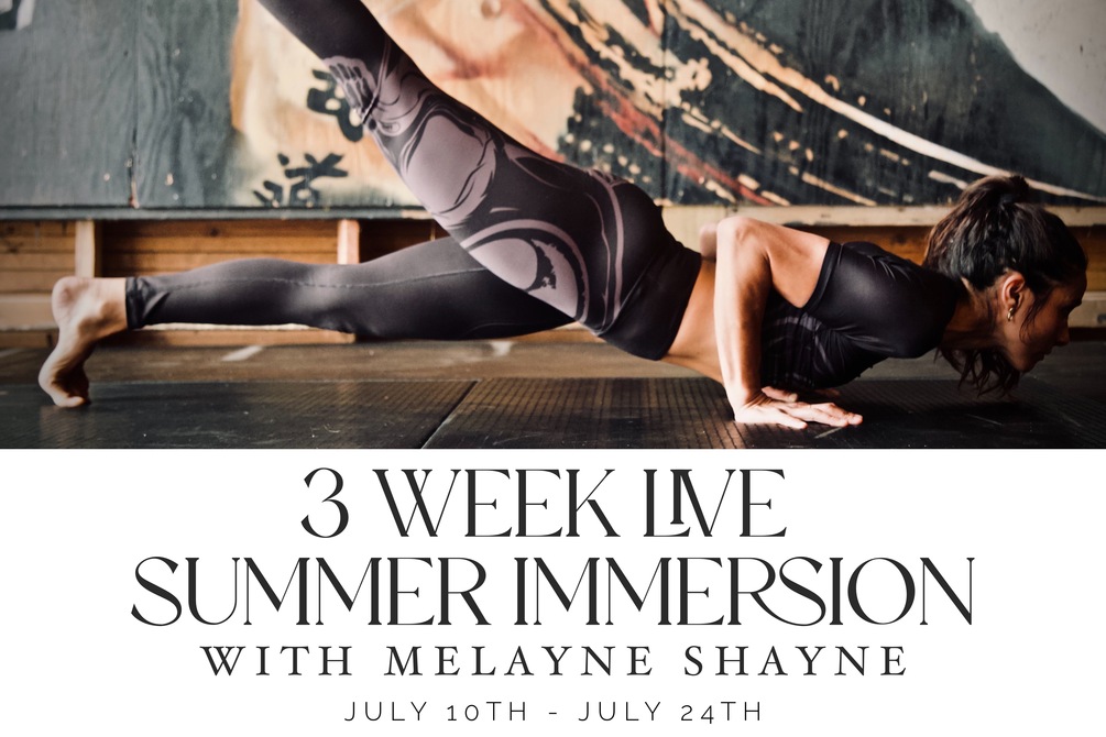 3 WEEKS LIVE BUDOKON SUMMER IMMERSION WITH MELAYNE SHAYNE JULY 10-24