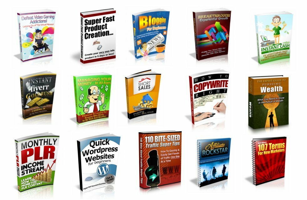 Collection of 1600 + English E-Books with full resale rights.