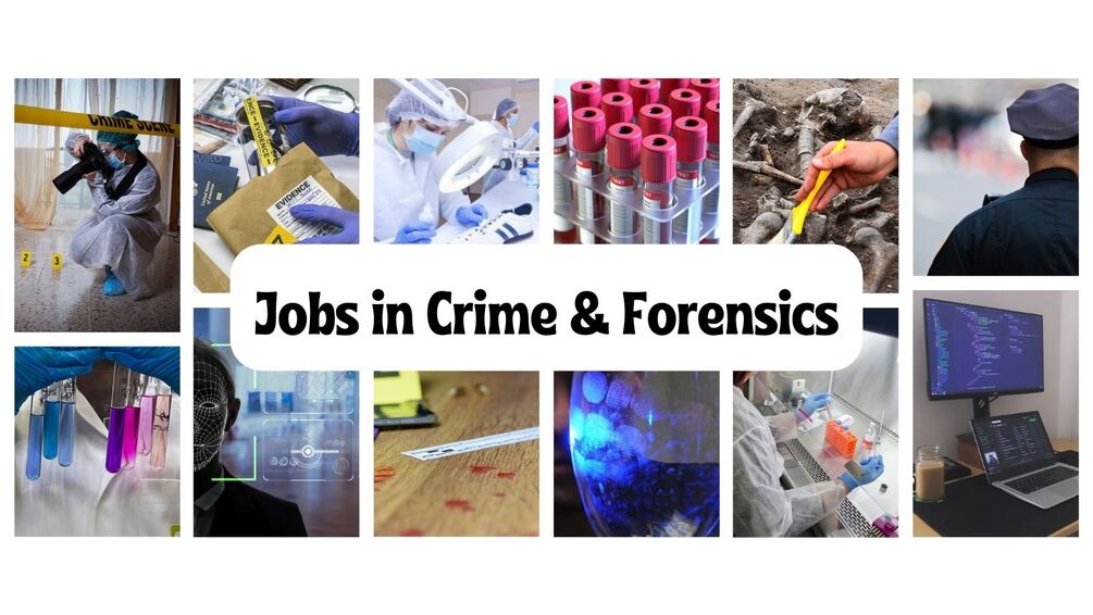 Forensic Recruitment Newsletter (UK): CSI, Crime Investigations ...