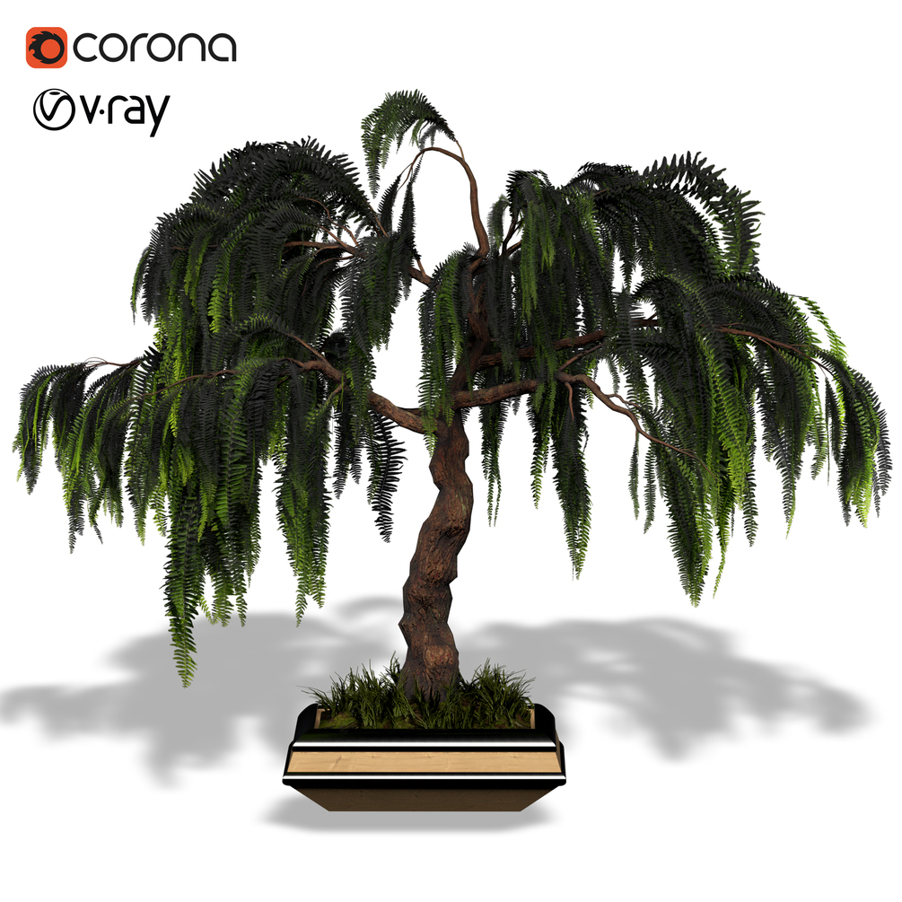 Decorative ornamental tree plant 04