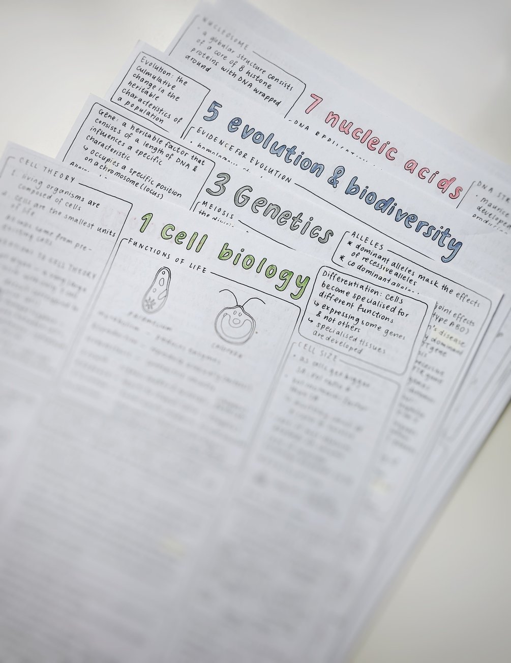 IB Biology HL summary notes CHEAT SHEETS