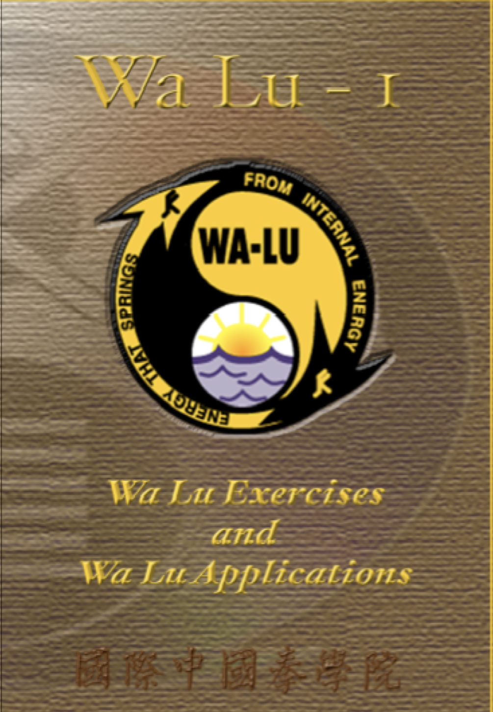 Walu 1 - Exercises and Applications DVD