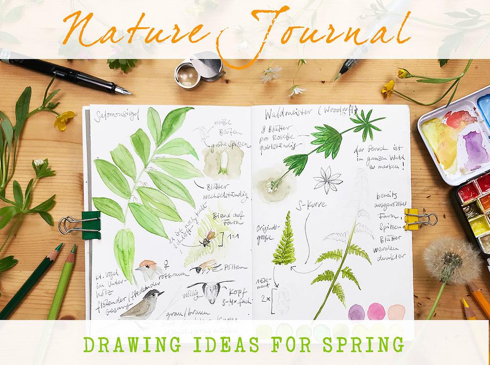 Nature Journal: Drawing Ideas For Spring