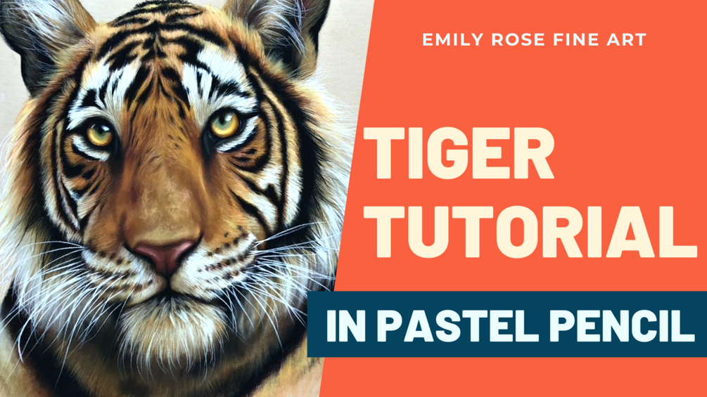 How to Draw a Tiger Portrait - with Pastel Pencils