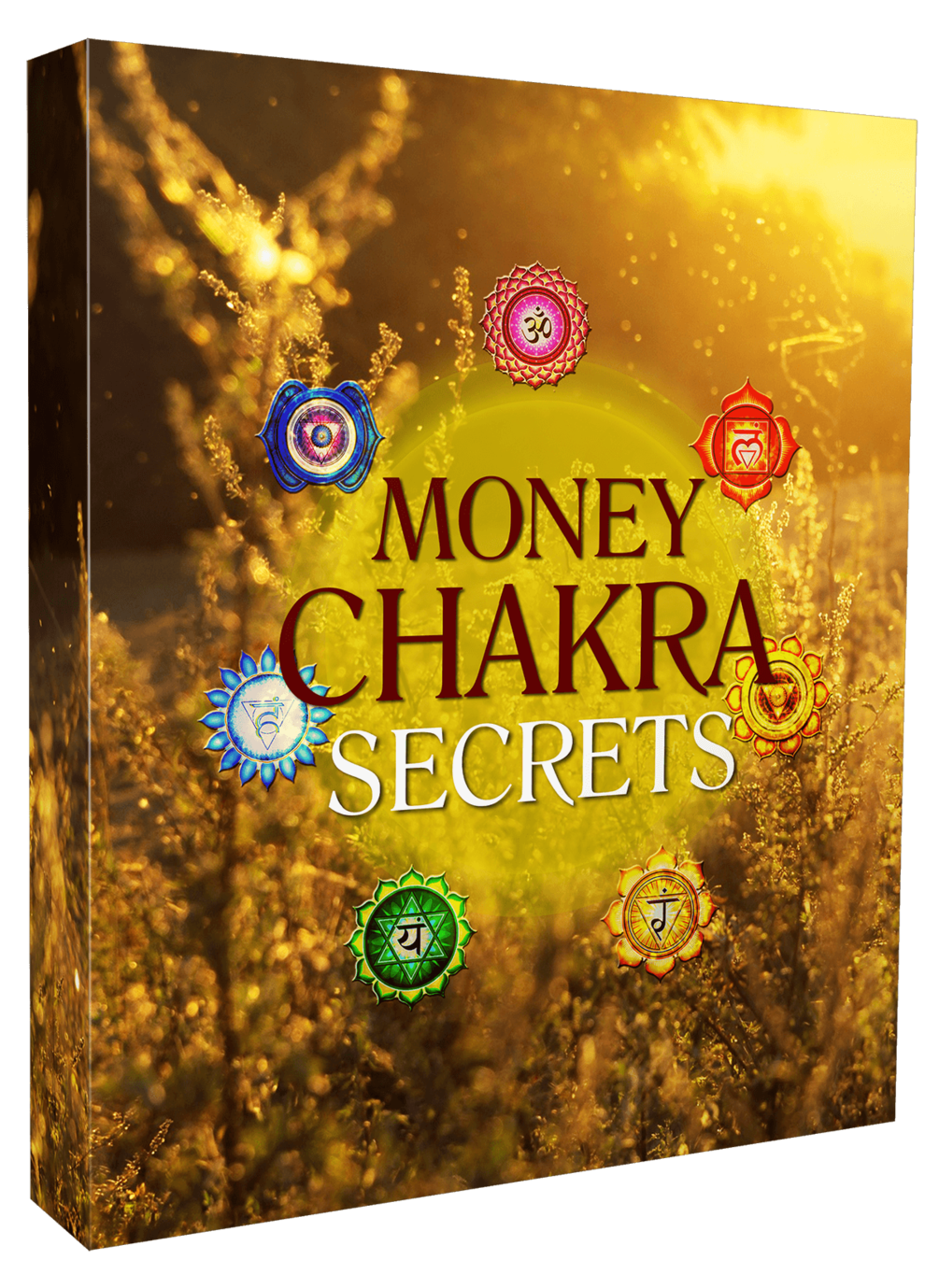 Money Chakra Secrets