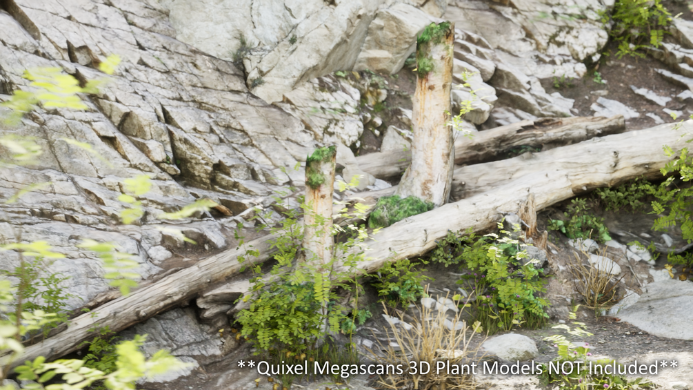 Cottonwood Rock & Boulder Collection