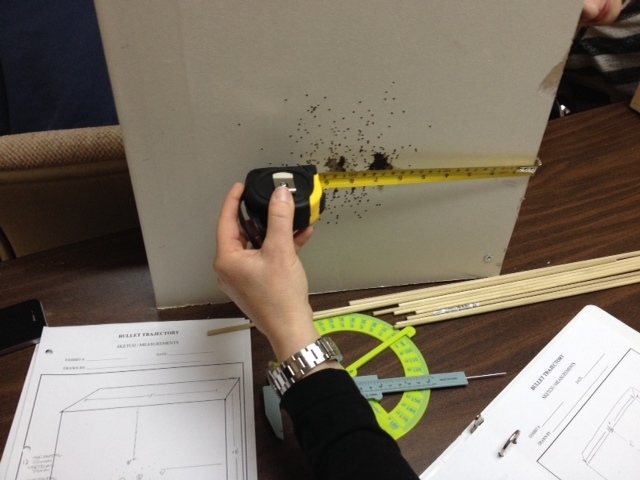 Bullet Trajectory ebook: A Guide to an Introductory Course