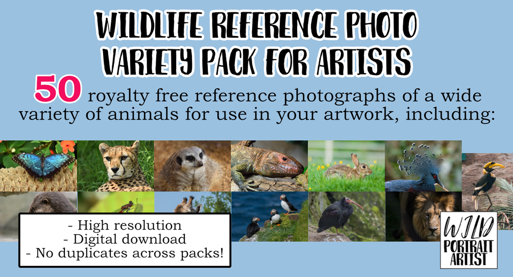 Wildlife Reference Variety Megapack for artists - 50 royalty free ...