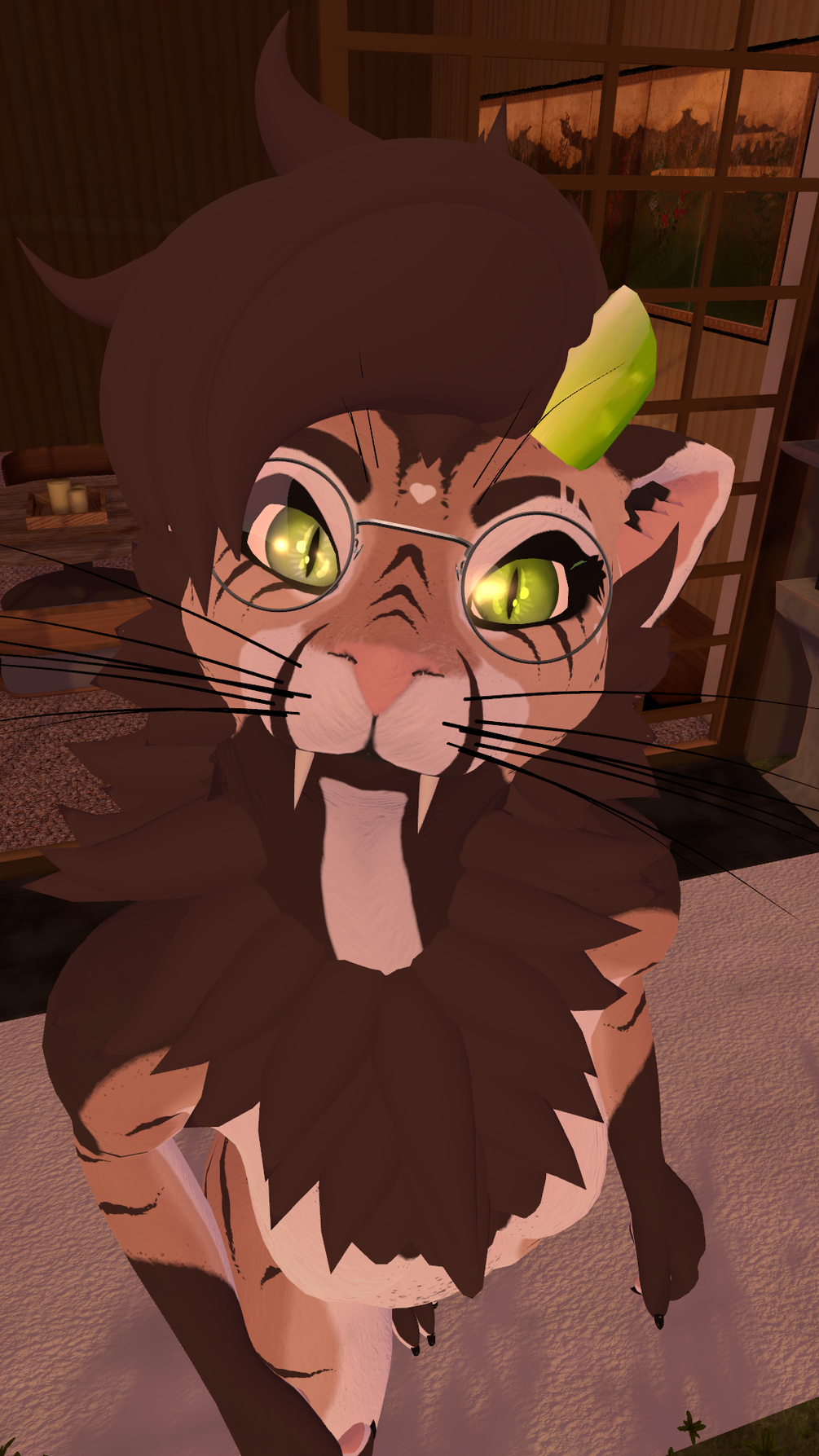 Double Pack F&M Tiger