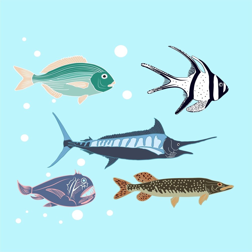 Free fish vector SET
