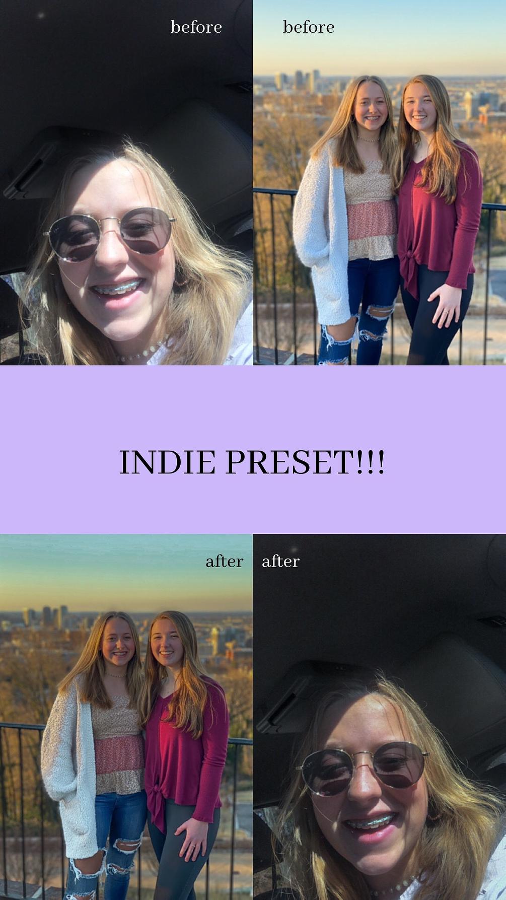 MADDIE BARKER Indie Preset (1 preset)