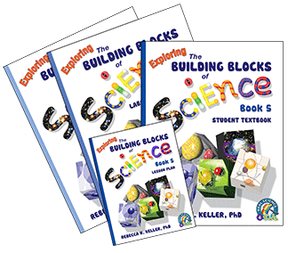 Building Blocks Book 5 Digital Bundle