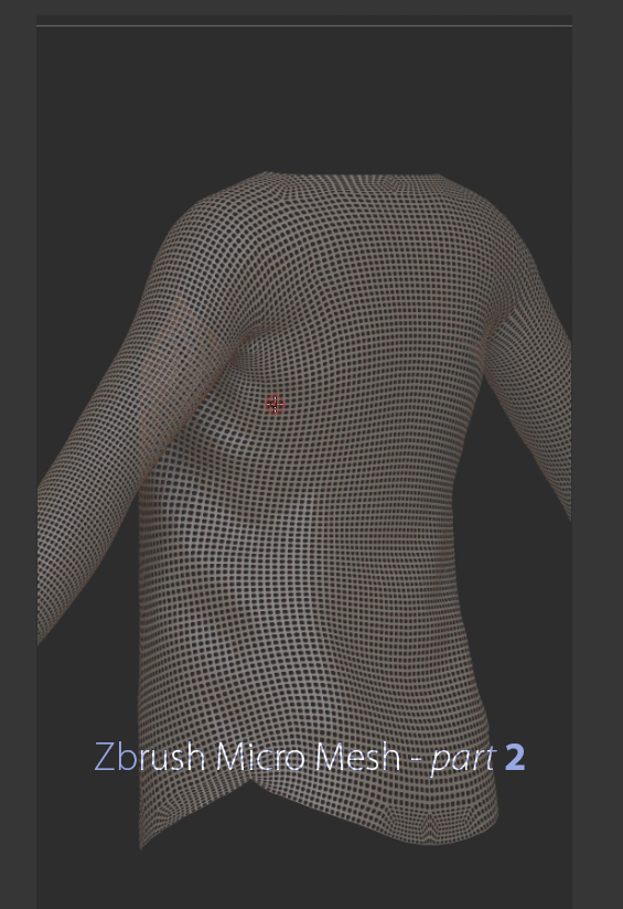 Zbrush Micro mesh 02