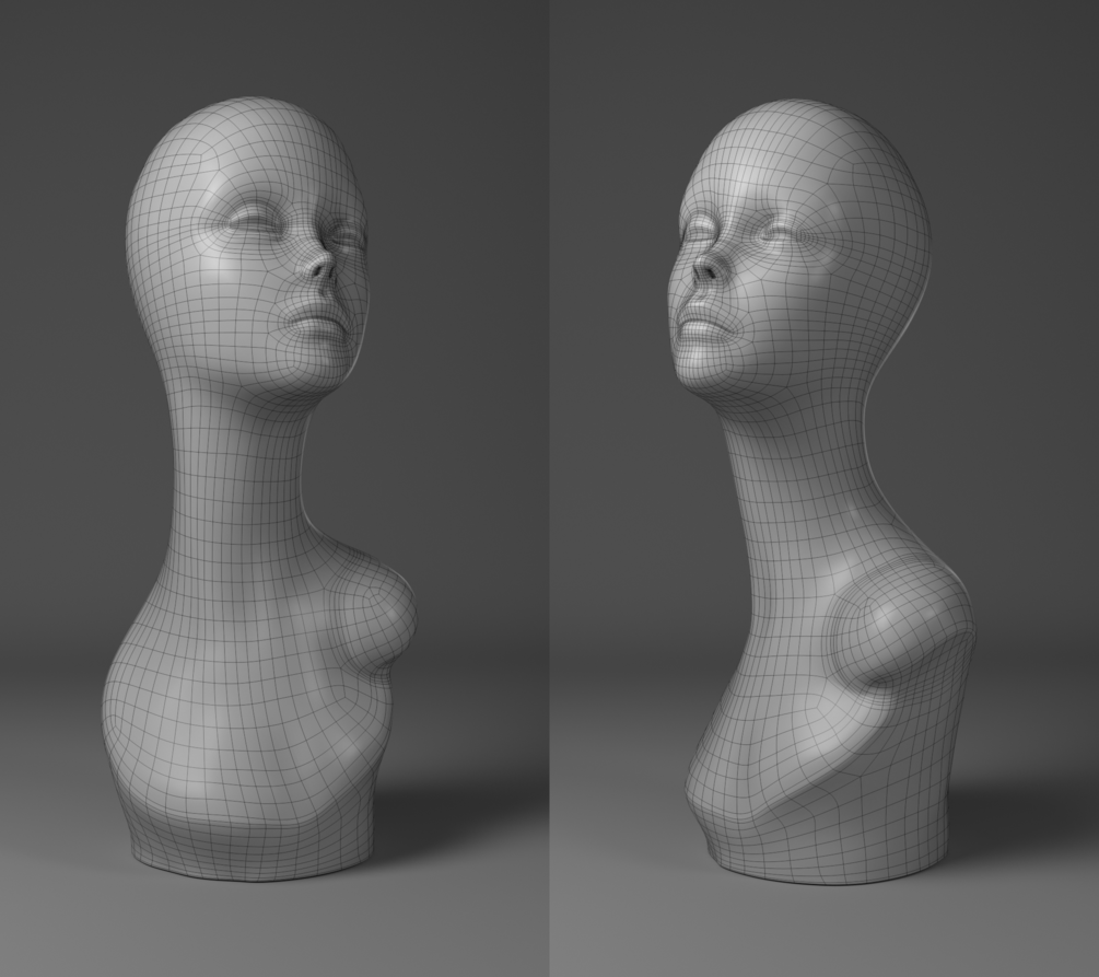 Female Bust Model (Mannequin)