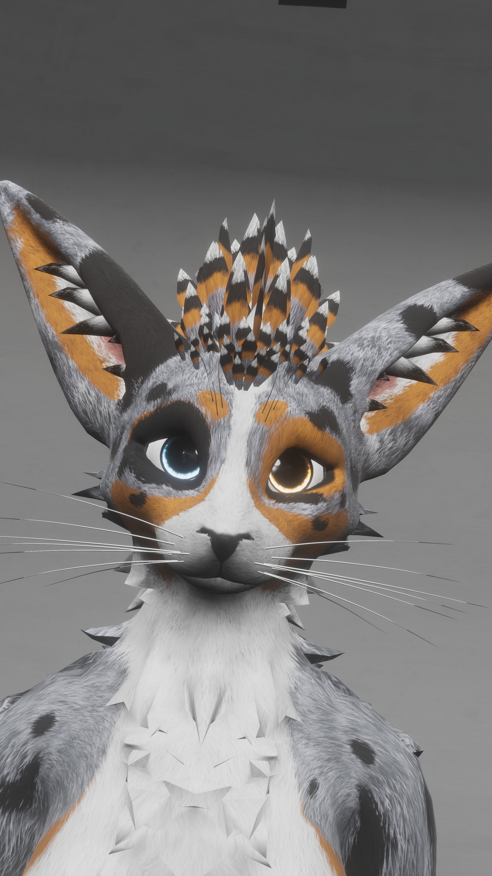 Australian Shepherd Rex Texture