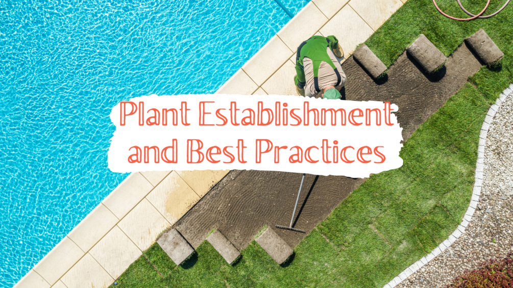 Establishment and Best Practices