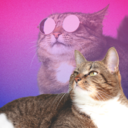 Krita Brush Set- Lace