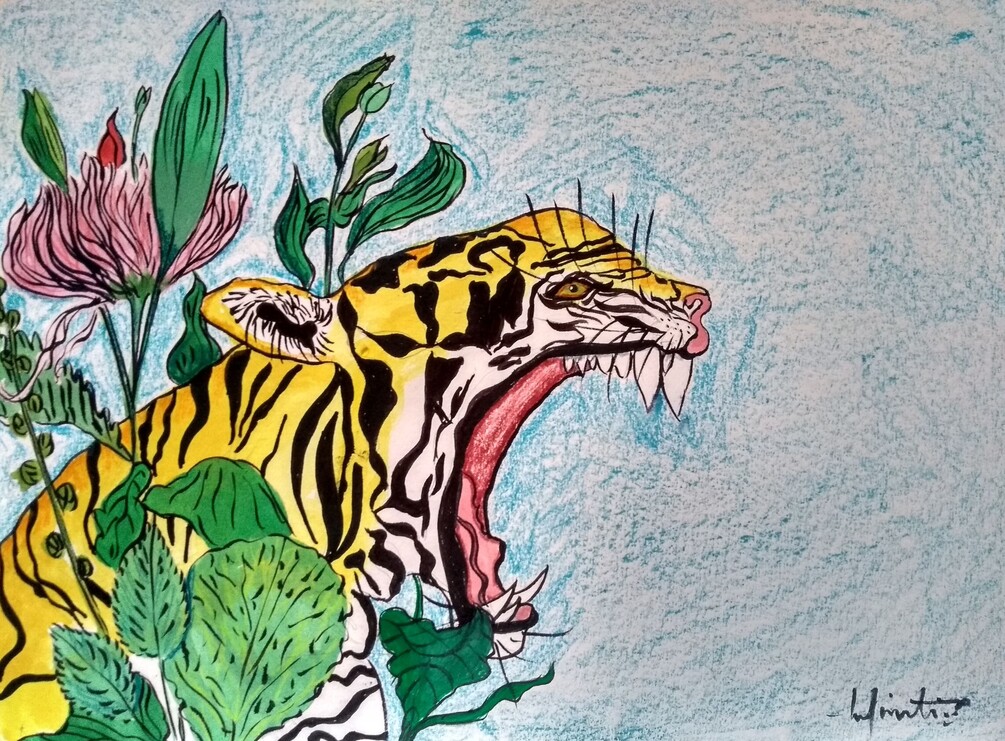 A courageous and vulnerable tiger - A4 Art Print