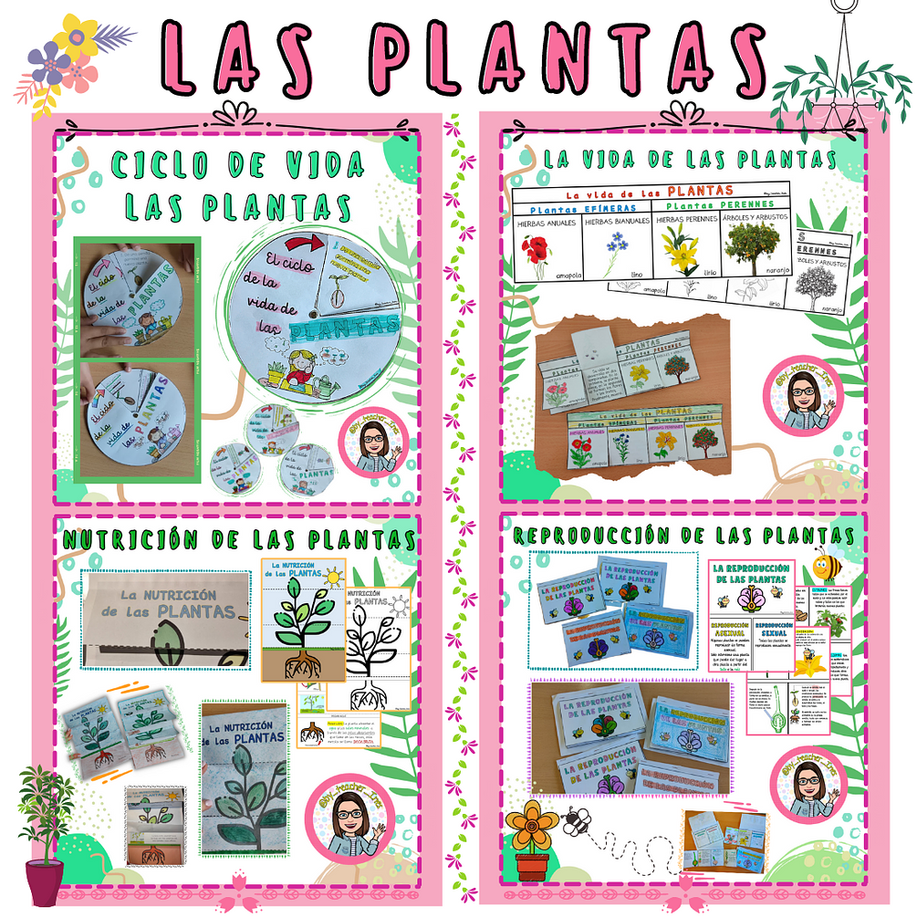 LAS PLANTAS
