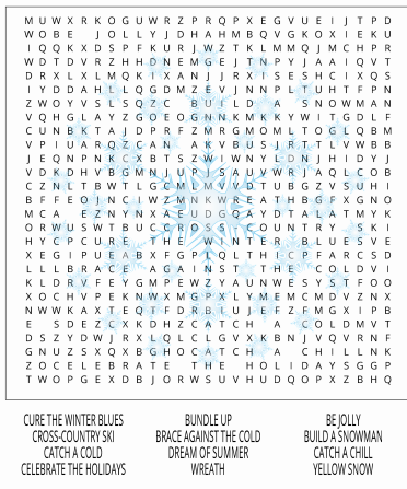 Winter Search Word Puzzles Book