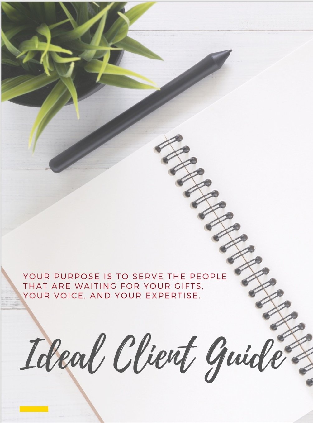 Ideal Client Guide