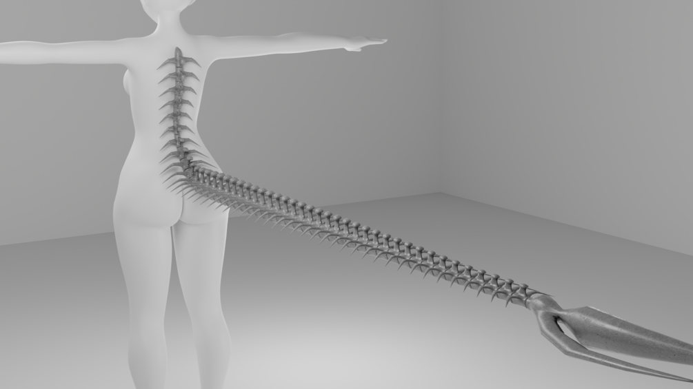 Bone Spine and Tail (Commercial Use)