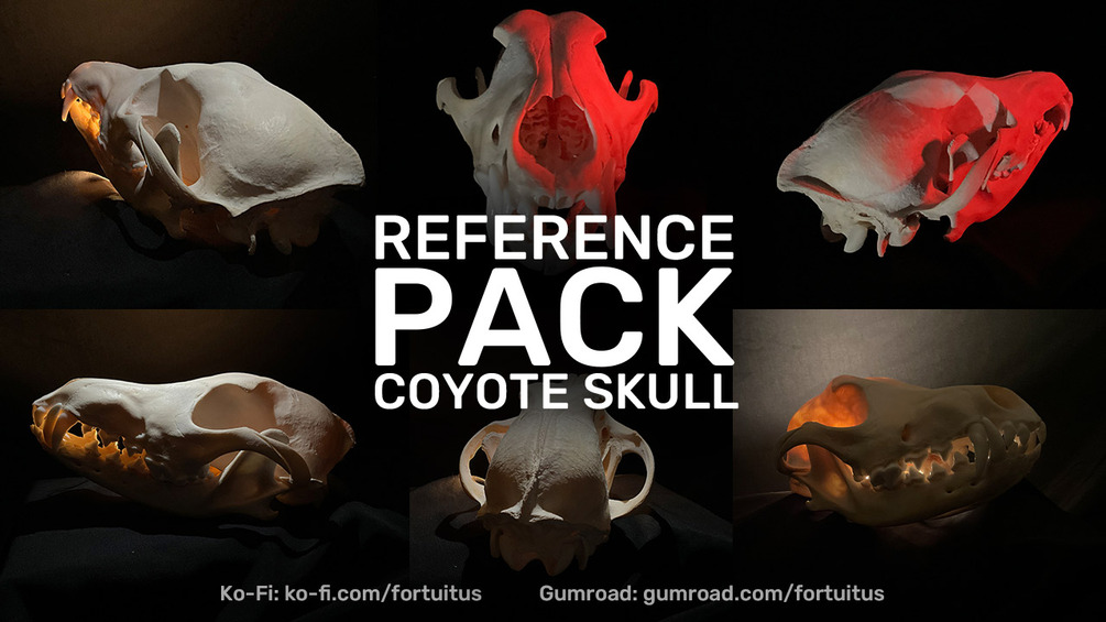 Coyote Skull Reference Pack Full Pack