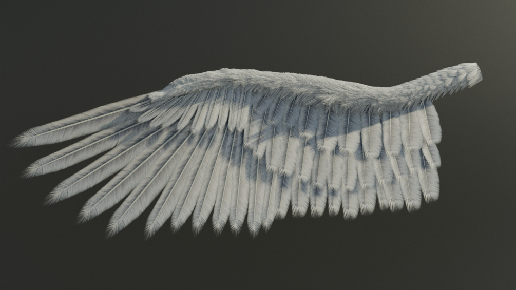 Angel/Bird Wing - Blender