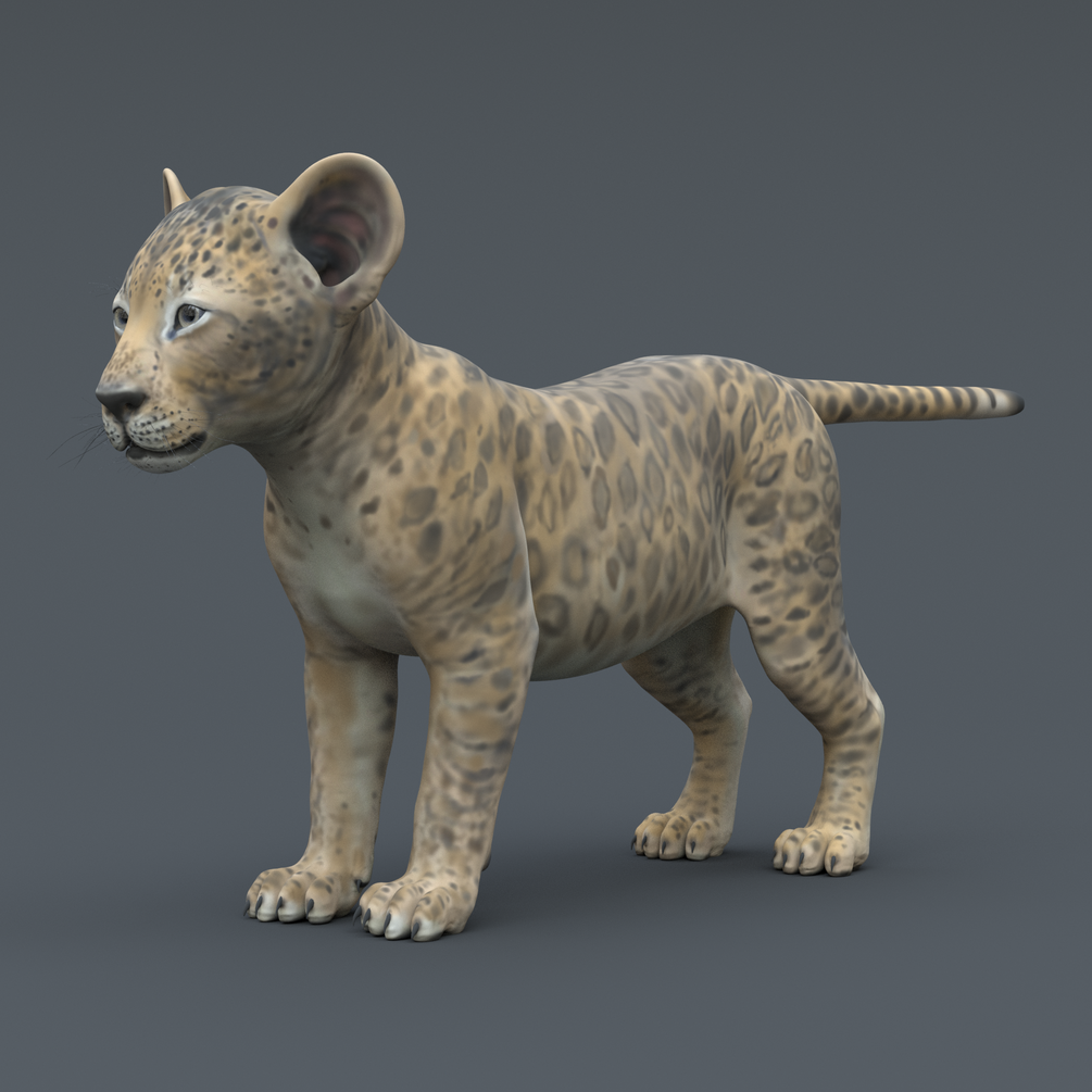 Lion Cub Maya Rig