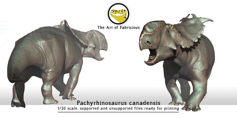 Pachyrhinosaurus canadensis v.001 (3D printing files - 1/20 scale)