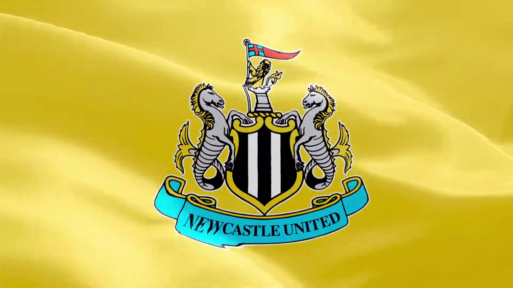 Newcastle United FC Flag Video Background HD | High Quality Flags ...