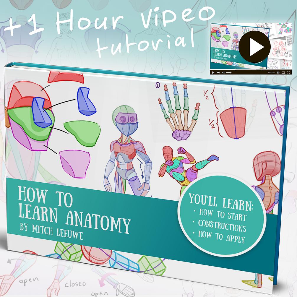 How To Learn Anatomy Ebook Video