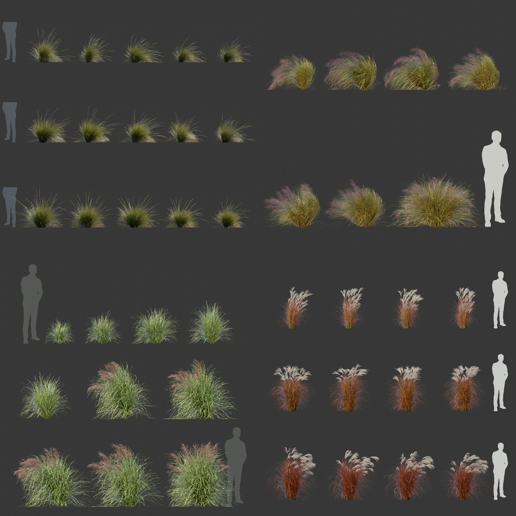 Ornamental Grass Pack (4 Types, 44 models)