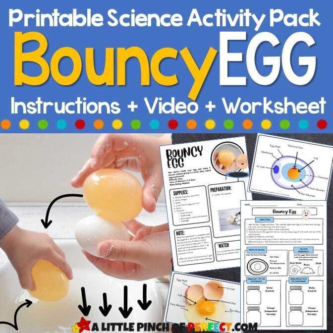 Bouncy Egg Science Experiment Activity Pack (Easter, Farm, Chemical ...
