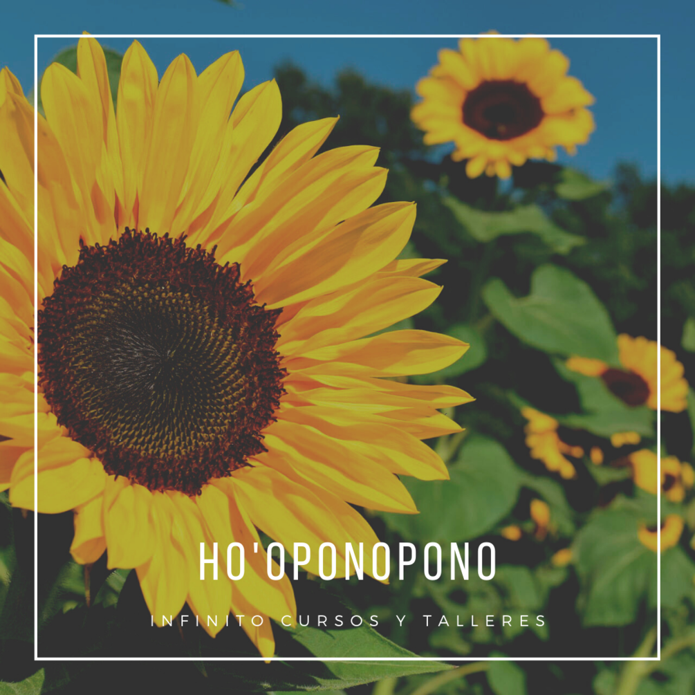 CURSO A DISTANCIA DE HO'OPONOPONO