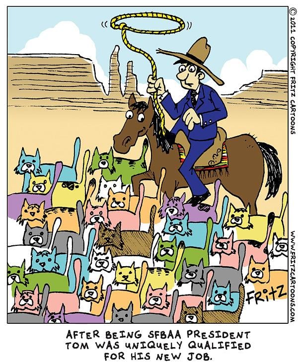 598 - Herding Cats