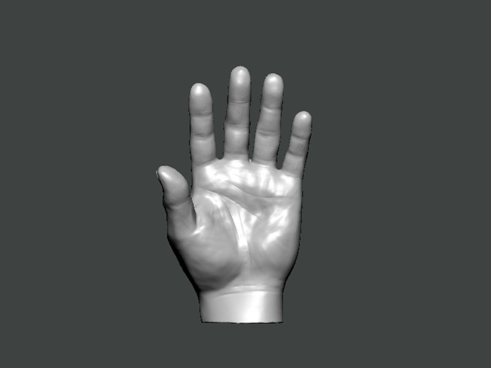 3D Model-HAND0001