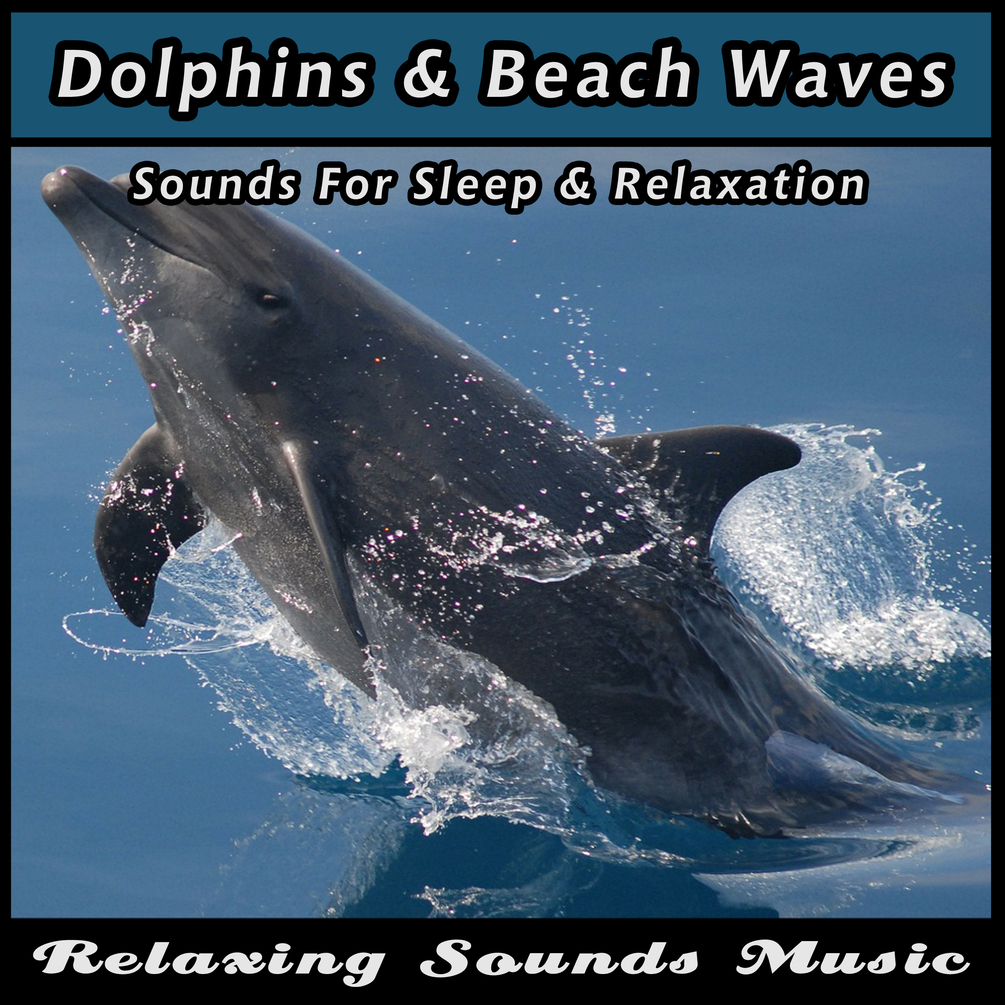 Soothing Ocean Sounds with Dolphin Sounds - 90 Minutes